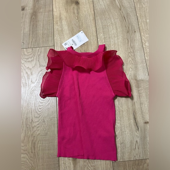 Zara | Tops | Zara Pink Ruffle Sleeve Top | Poshmark